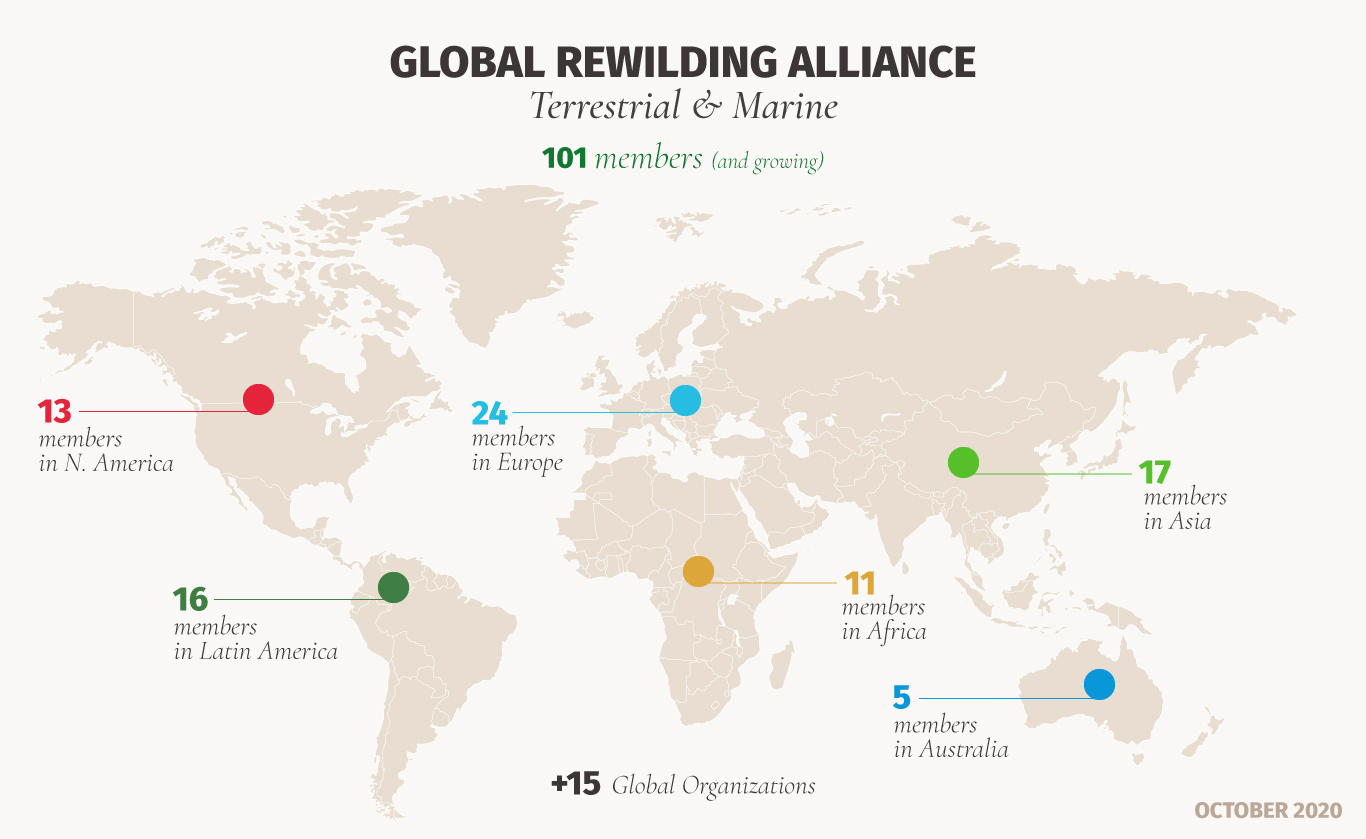 Global Rewilding Alliance - WILD Foundation